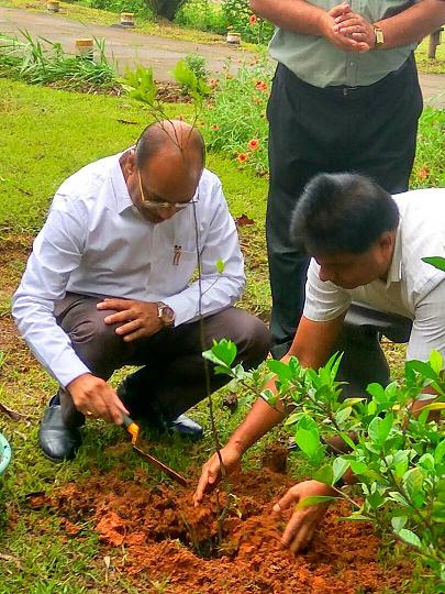 | North Eastern Electric Power Corporaton Limited